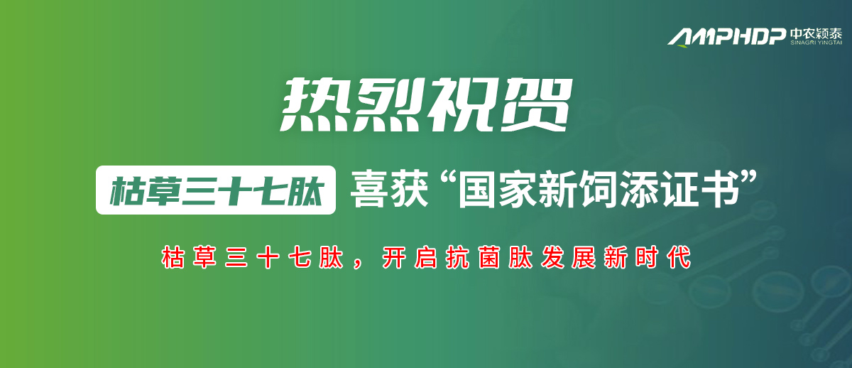 91av在线播放随心享，91av.com首页导航畅，91porny视界任你闯，极速高清乐无双！